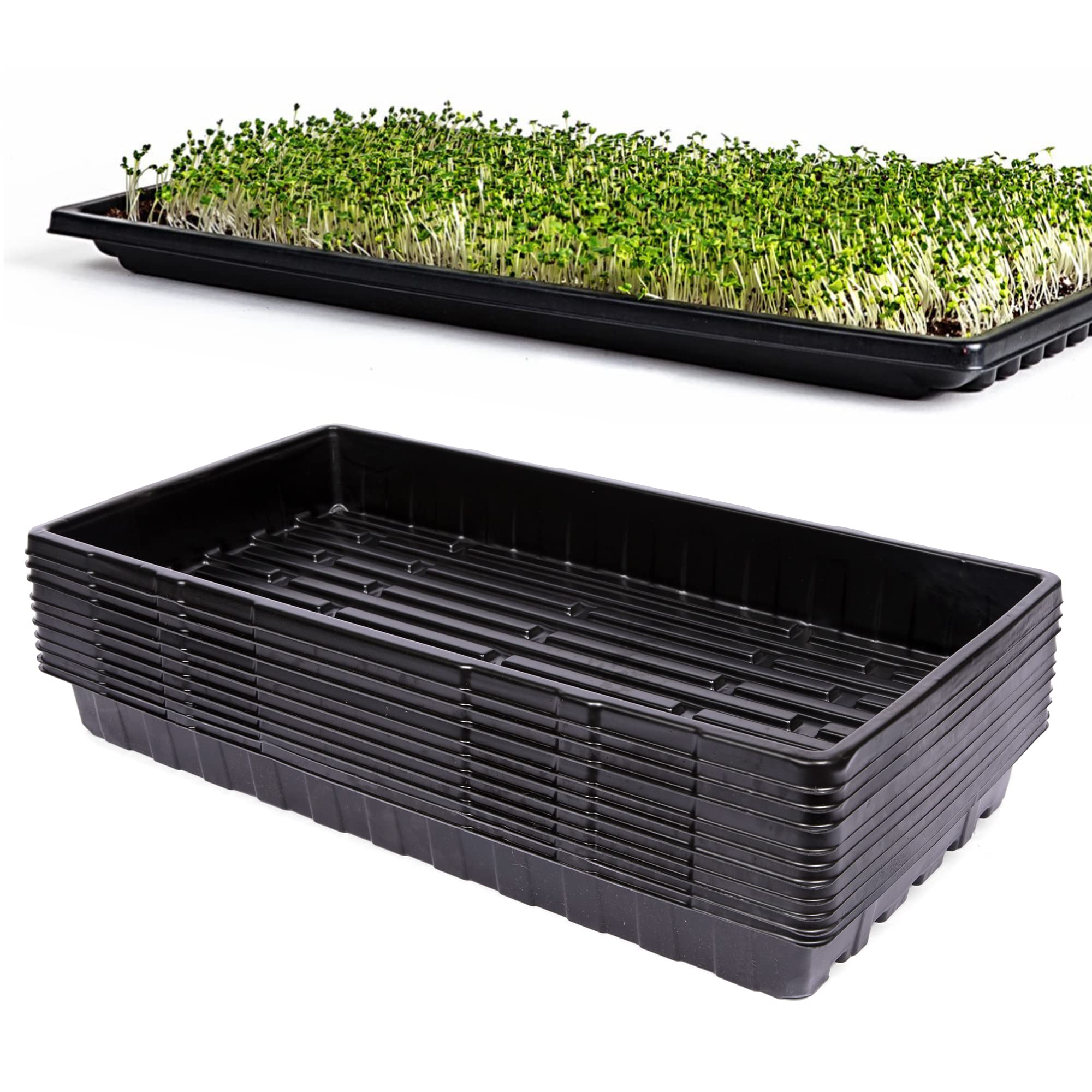 Amazon.com : MIDASHYDRO PRODUCTS Seed Starter Trays 10 Pack - 1020 ...