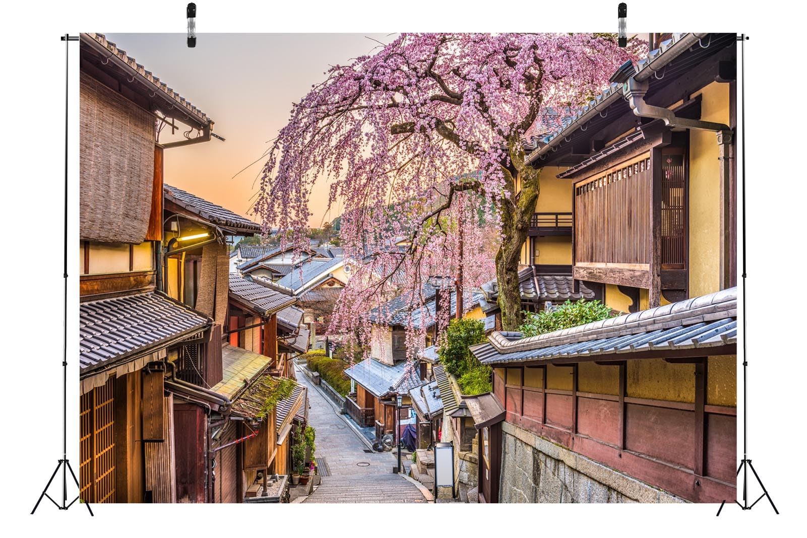 Tết Backdrop BELECO 7x5ft Japanese Garden Backdrop - Sakura Cherry ...