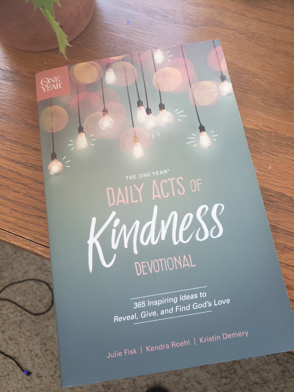 The One Year Daily Acts of Kindness Devotional: 365 Inspiring Ideas to ...