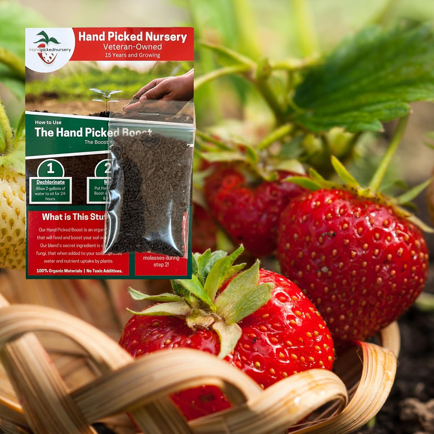 Amazon.com : Jewel Strawberry Plants (10 Plants) - Free Plant Boost ...