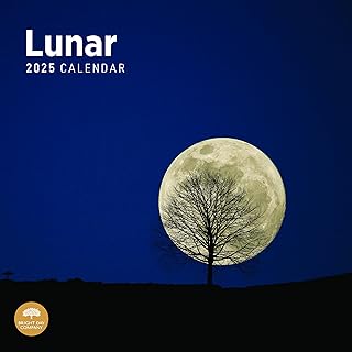 Lunar Months: Understanding Earth's Only Natural Satellite's Calendar ...