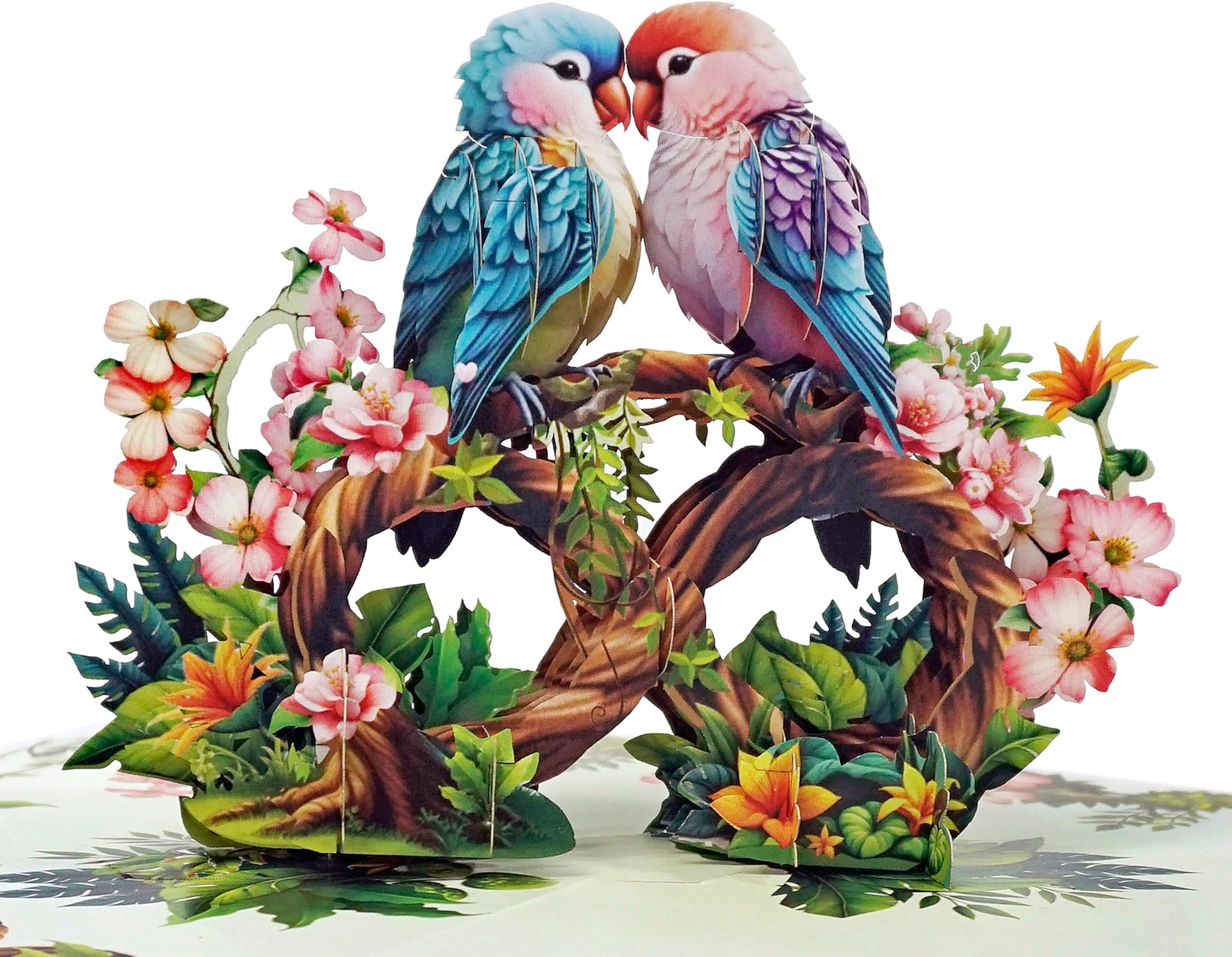 Amazon.com : CUTPOPUP Parrot Couple, Anniversary Card Pop Up ...