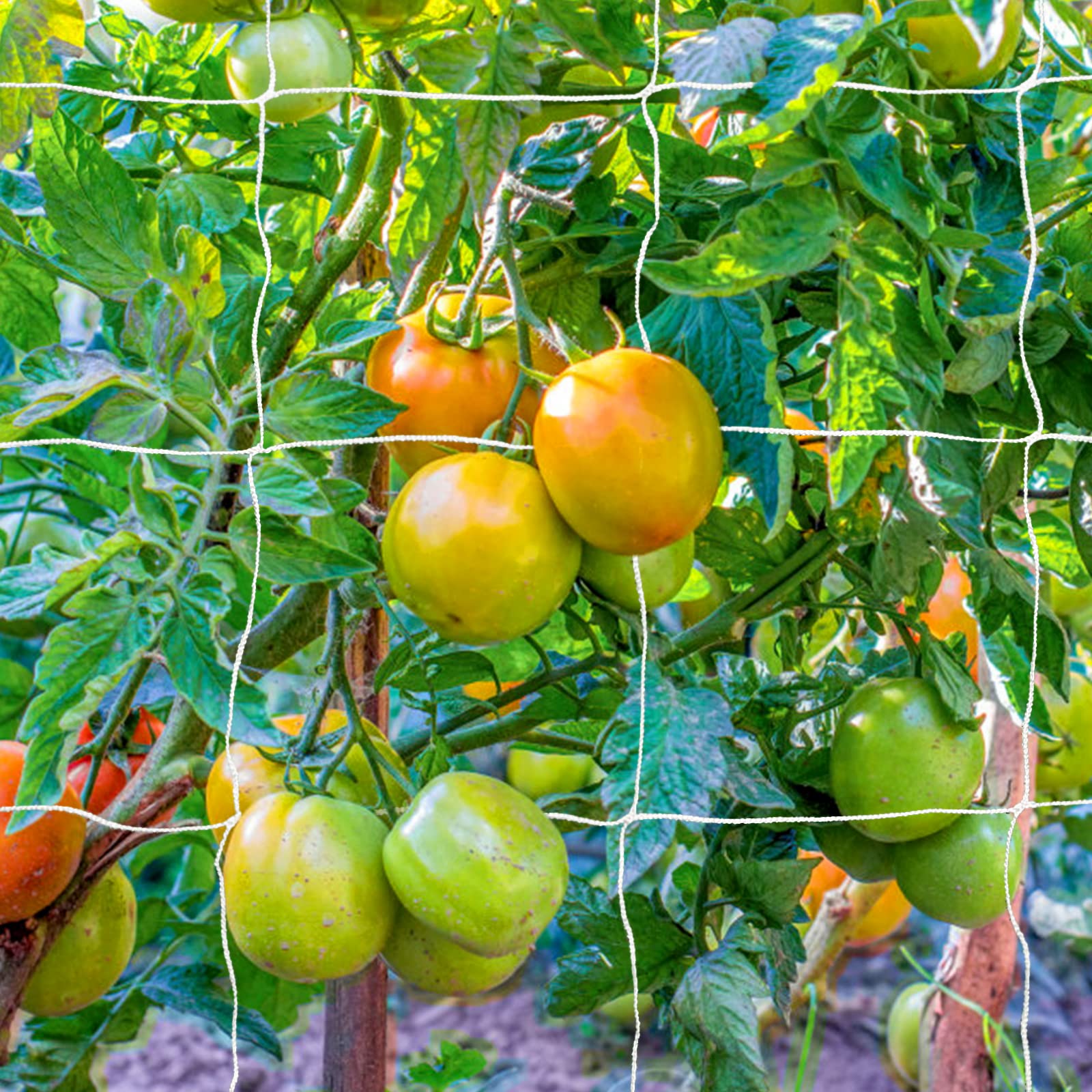 Snapklik.com : 5 X 15 Ft Plant Trellis Netting For Climbing Plants ...