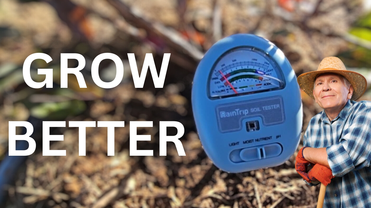 Watch Meter Review and Use on Amazon Live