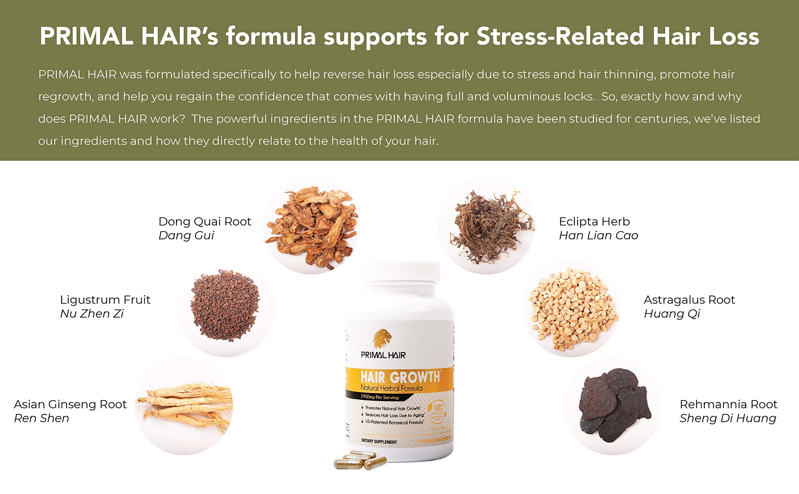 PRIMAL HAIR: Hair Growth & Hair Loss Treatment, Hair Thinning ...