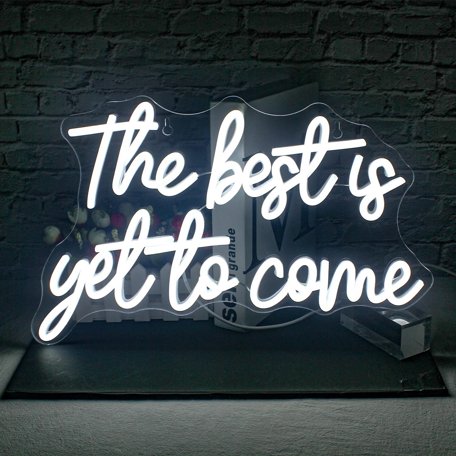 Amazon.com : SYLHOME Large LED Neon Light Signs 12V Best Day Ever 26"X7 ...
