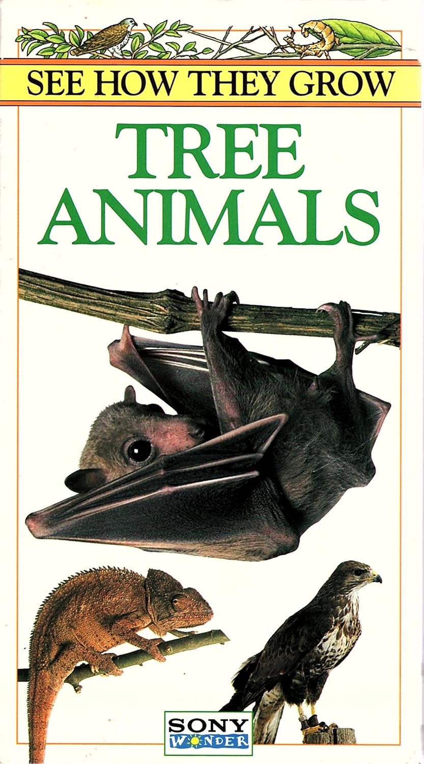 Amazon.co.jp: See How They Grow: Tree Animals [VHS] : See How They Grow ...