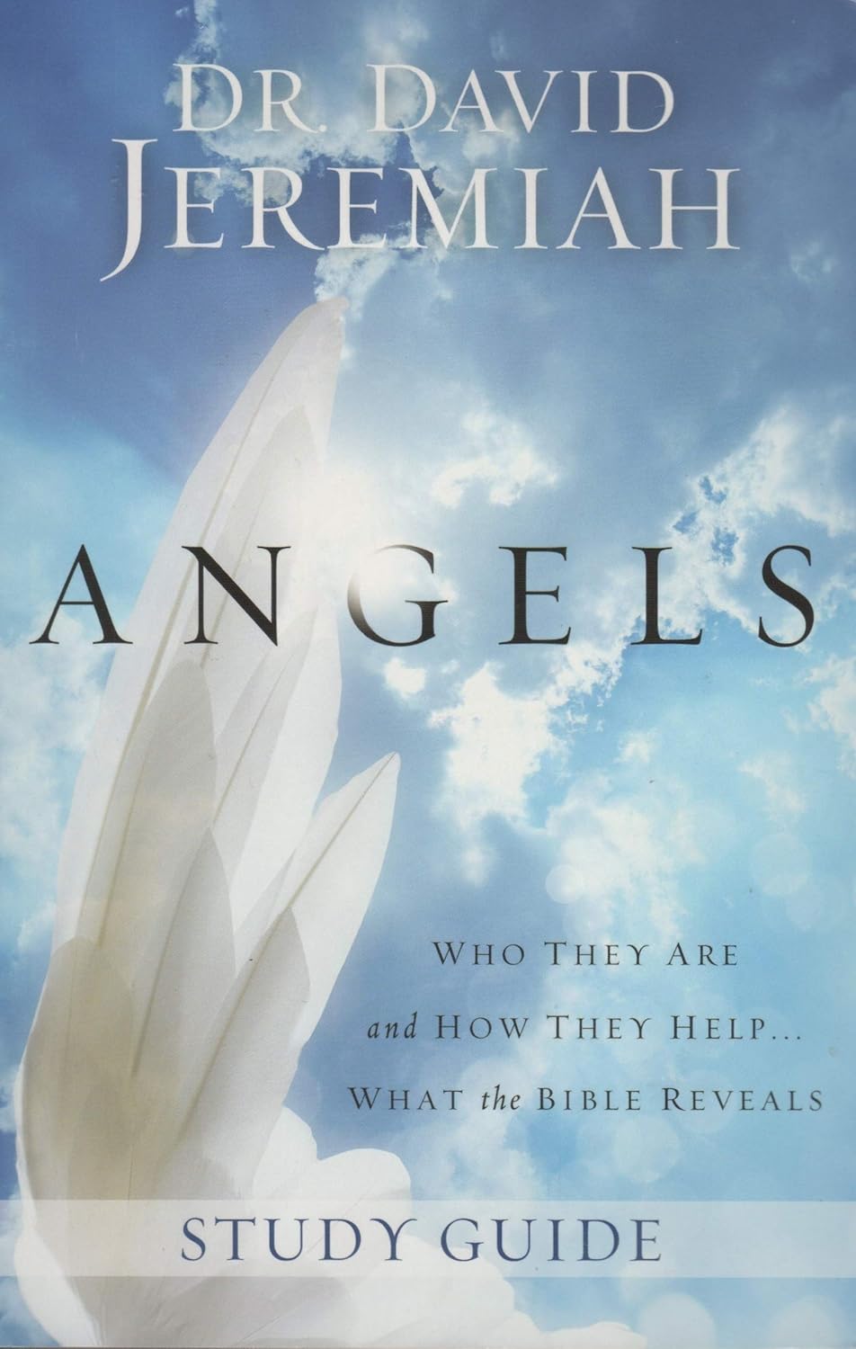 Angels: Who They Are and How They Help... What the Bible Reveals: Study ...