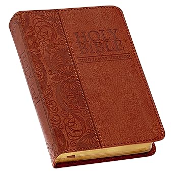 KJV Holy Bible, Mini Pocket Size, Faux Leather Red Letter Edition ...