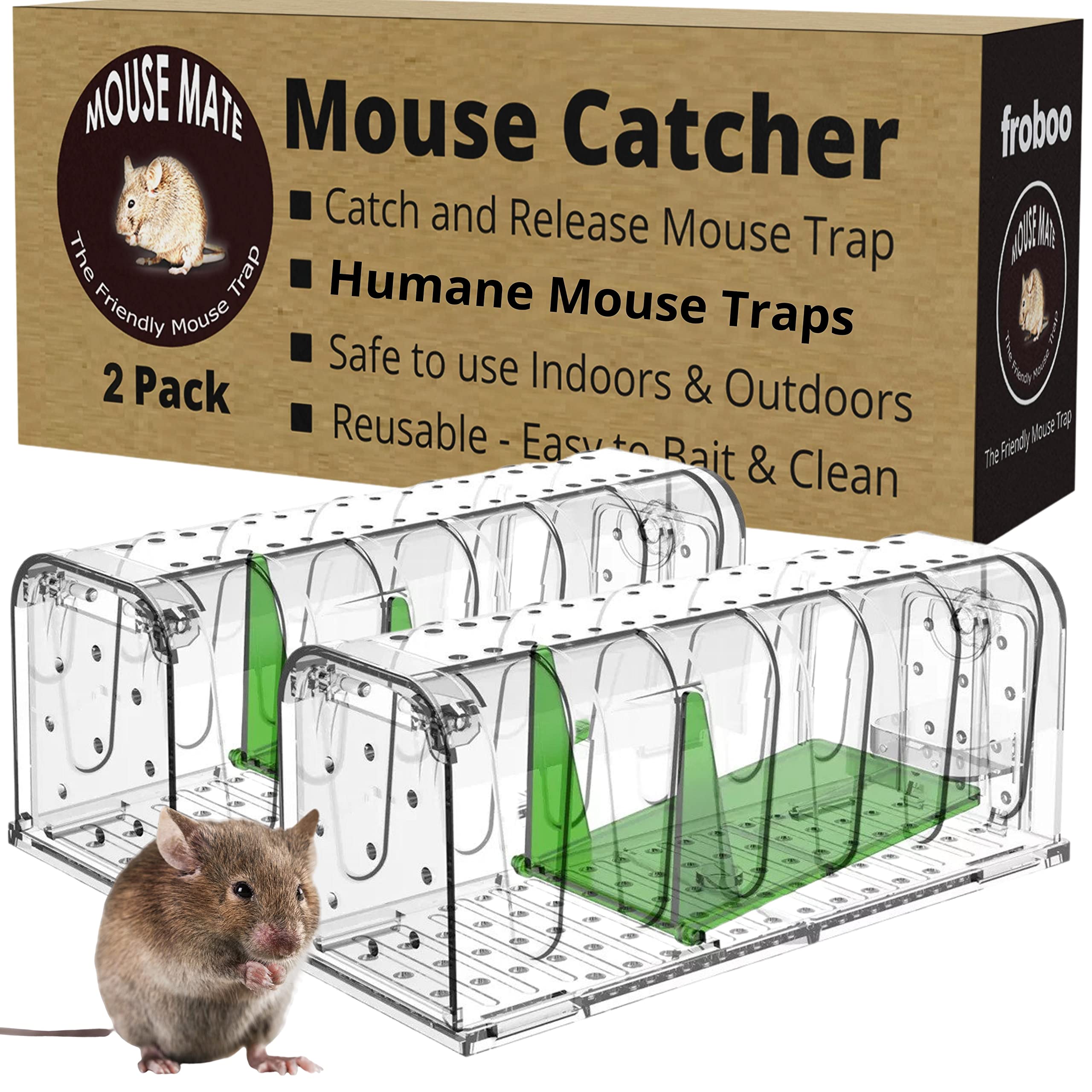Best type of mouse trap online