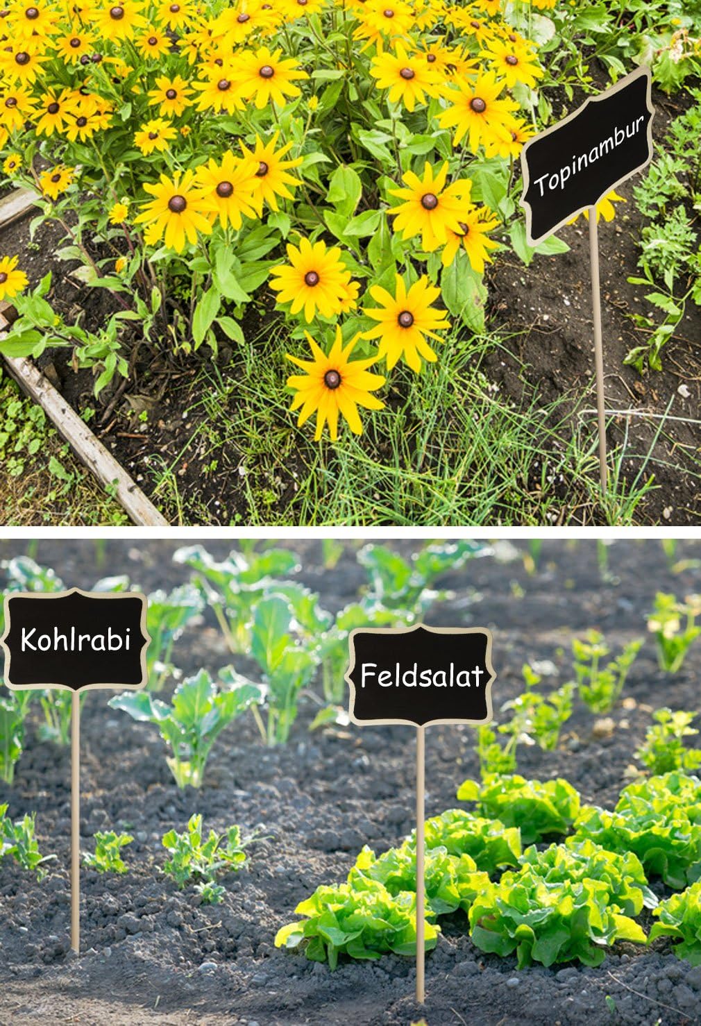 HomeTools Classic Wooden Plant Signs for Beds Balconies Herbs Garden ...