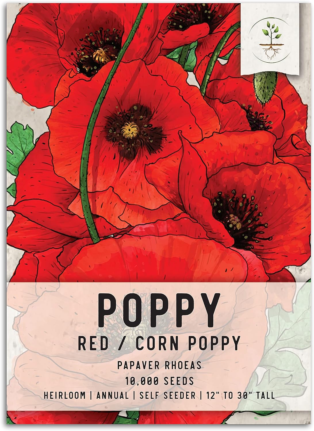 Amazon.com : Seed Needs, Red Poppy Seeds - 10,000 Heirloom Seeds for ...
