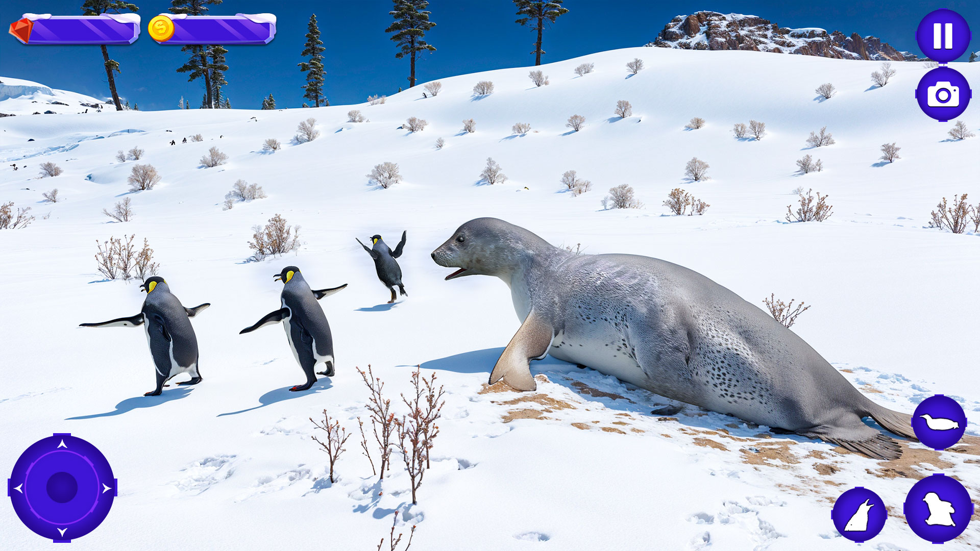 Arctic Penguin Family Life Simulator - App on Amazon Appstore