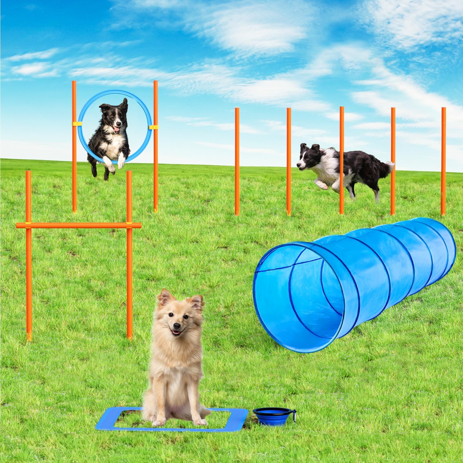 X XBEN Agility Set Hunde, 6-Teiliges Agility Set für Hunde, Agility Set Hunde Groß mit ...