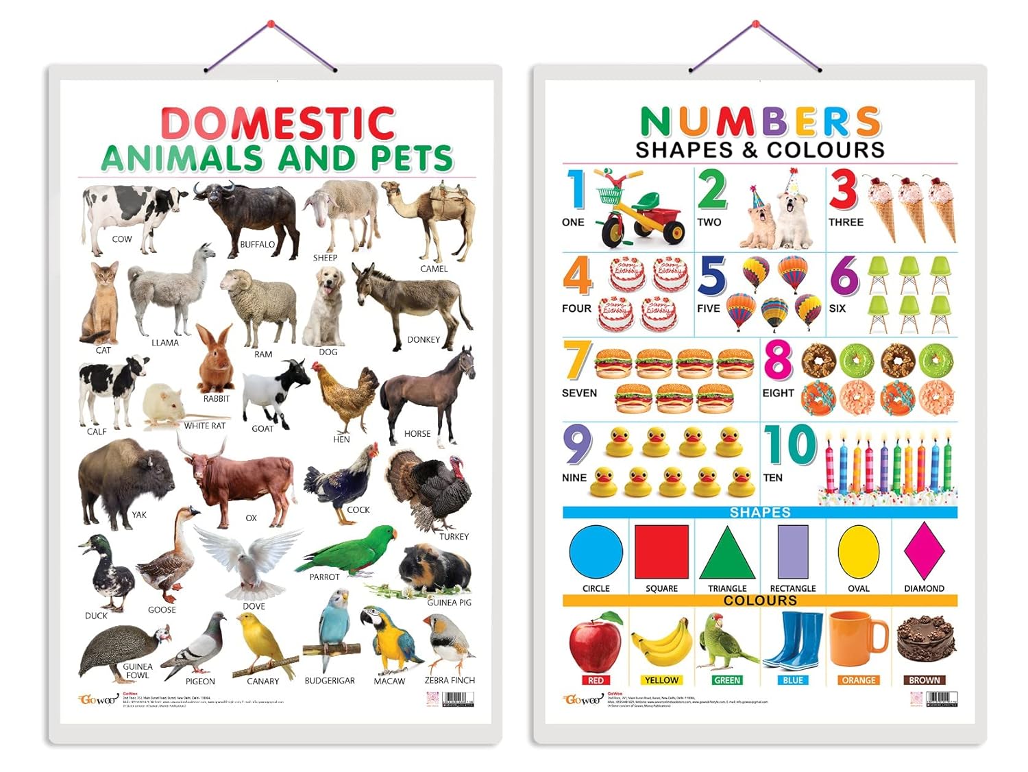GO WOO Combo of 2 Domestic Animals and Pets and Numbers, Shapes ...