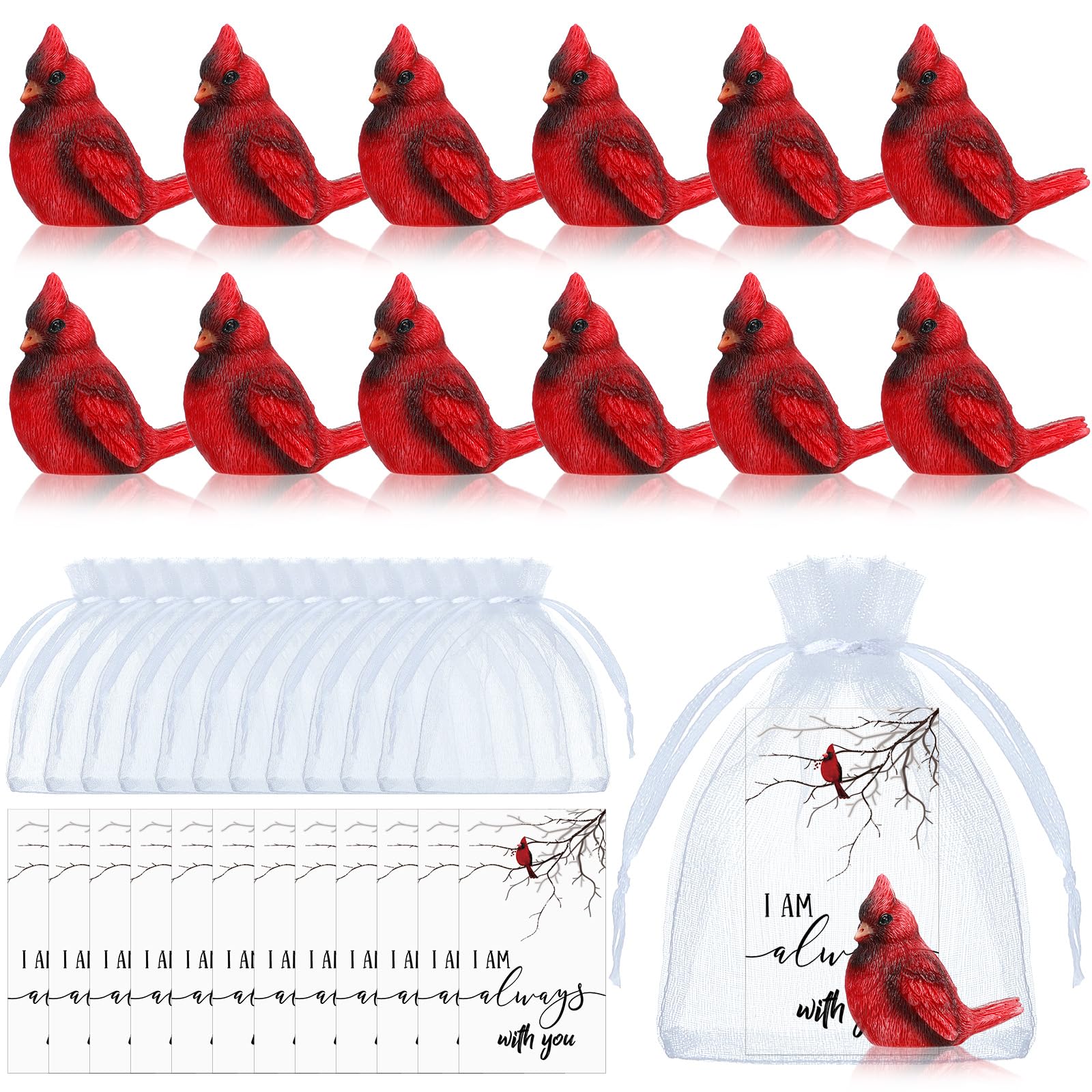 Amazon.com: Roowest 36 Pcs Memorial Cardinal Gift Set Include Mini Red ...