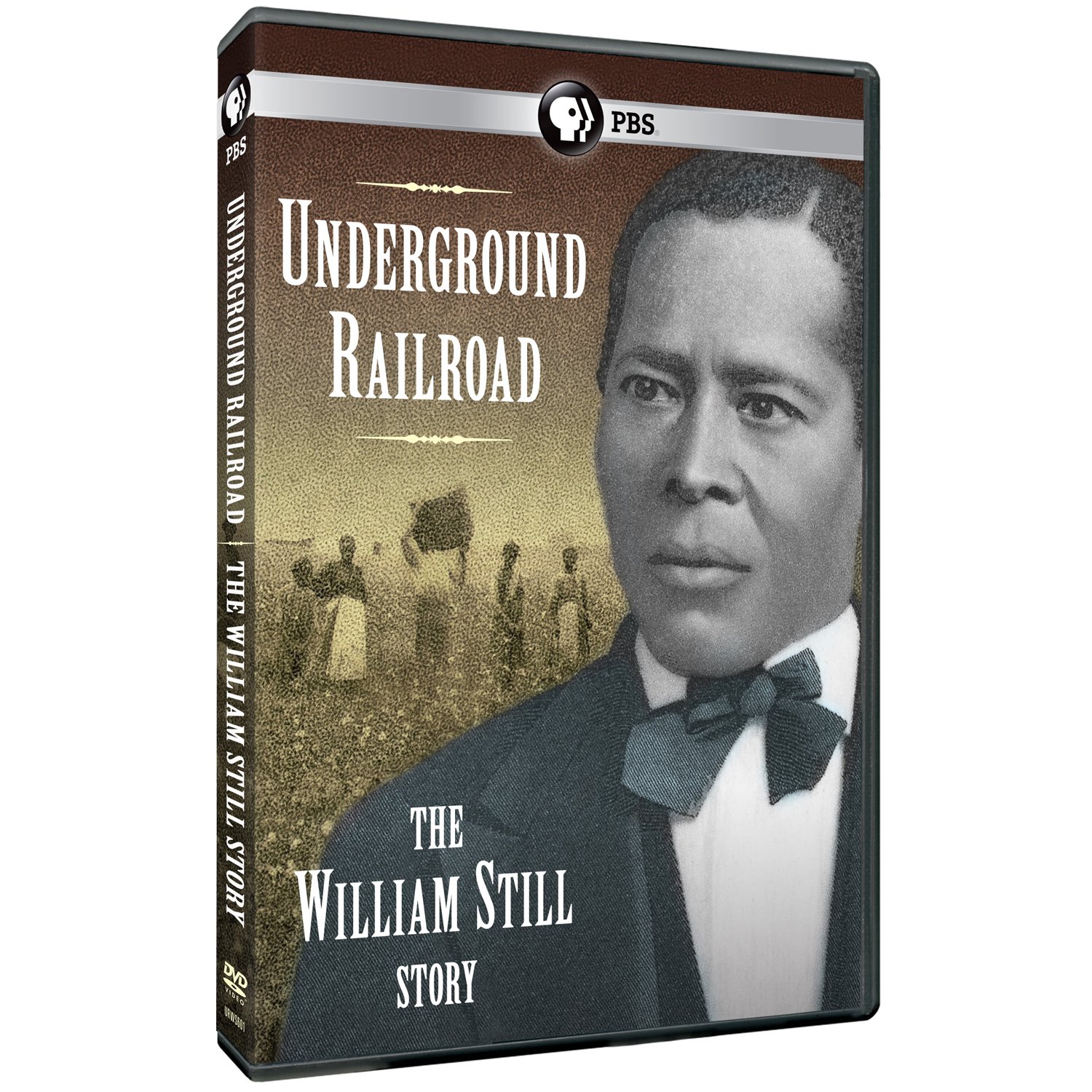 Amazon.com: Underground Railroad: The William Still Story ...