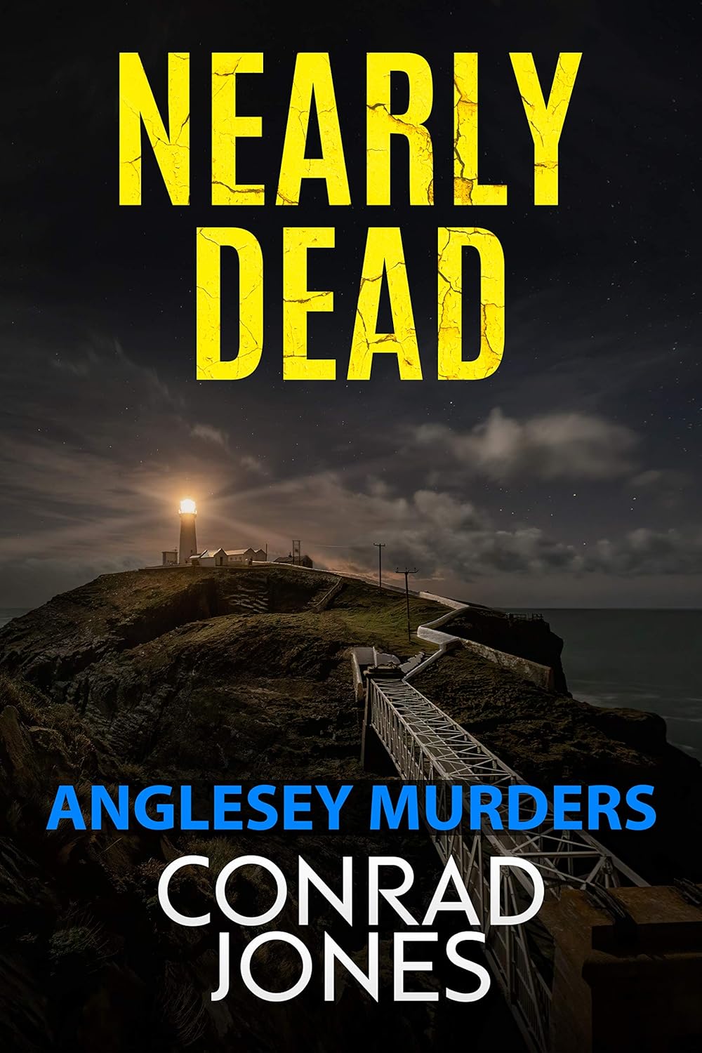 Amazon.com: NEARLY DEAD (The Anglesey Murders Book 3) eBook : Jones ...