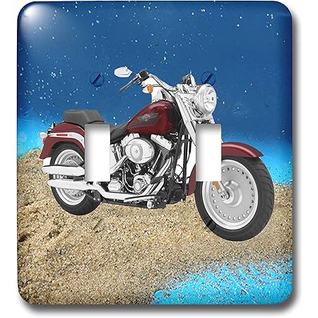 3dRose LLC lsp_4490_2 Light Switch Cover Picturing Harley Davidson ...