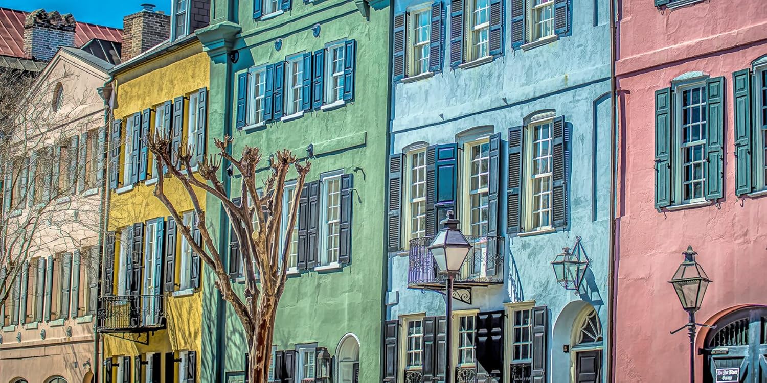 Amazon.com: Charleston's Rainbow Row Fabric Panel - SSE-003, Panel is ...