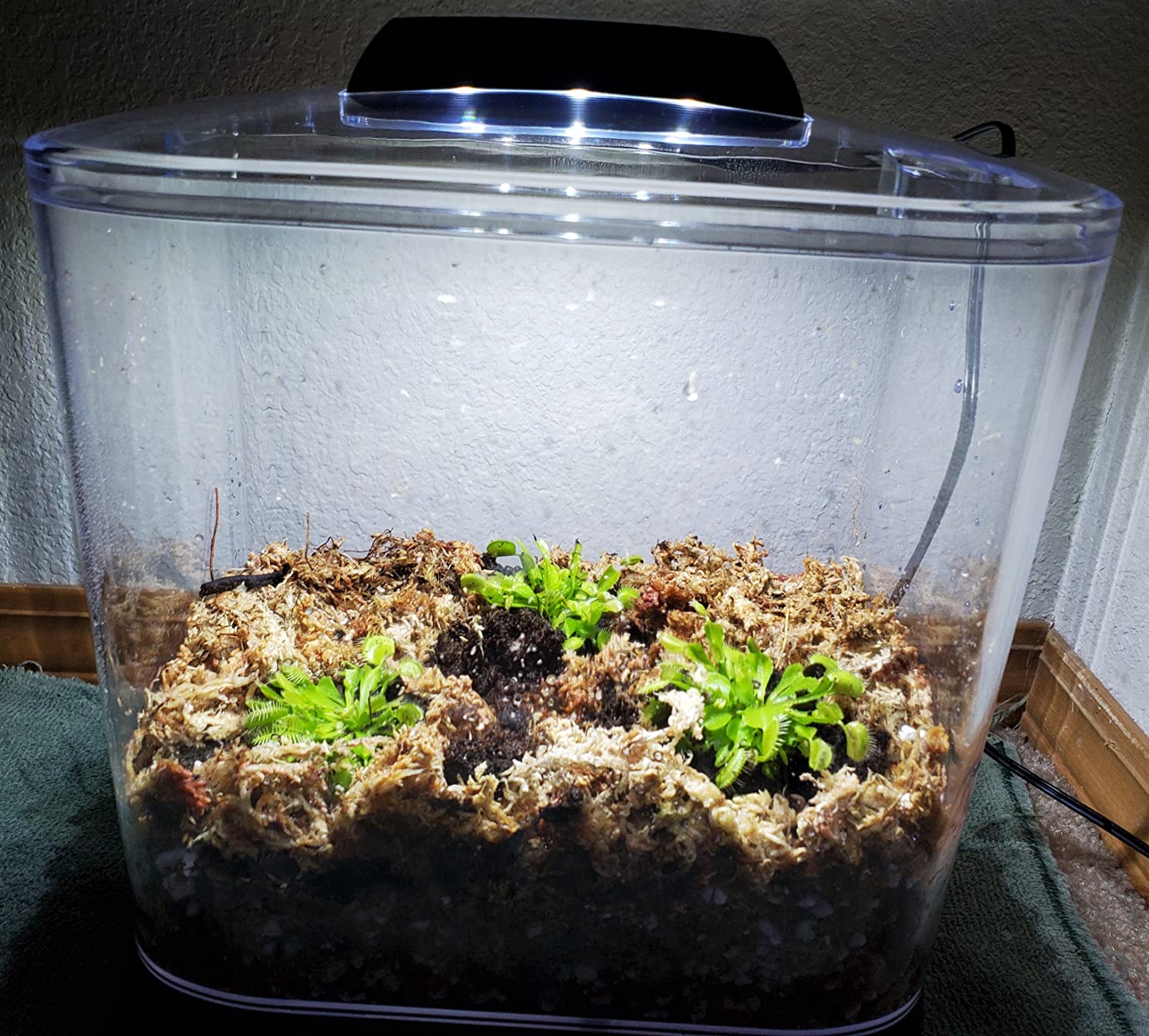 $9/mo - Finance PENN-PLAX NuWave Betta Fish Tank Kit with LED Light and ...