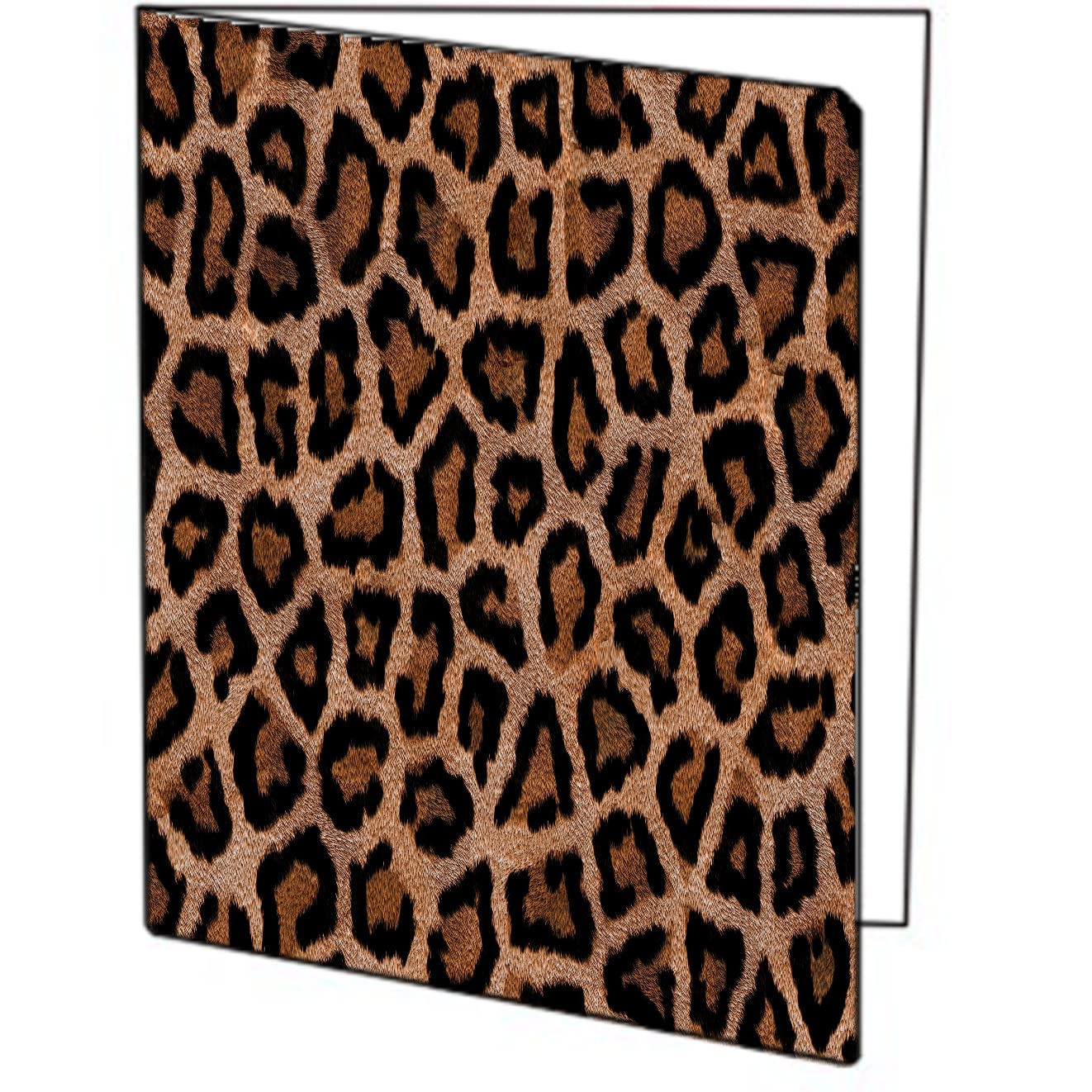 Amazon.com : Leopard Print Design Pattern Three (3) Pack of Printed ...