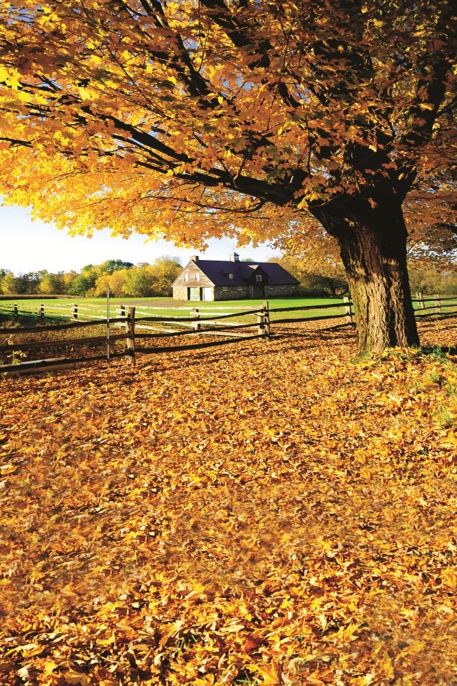 Country Fall Backgrounds