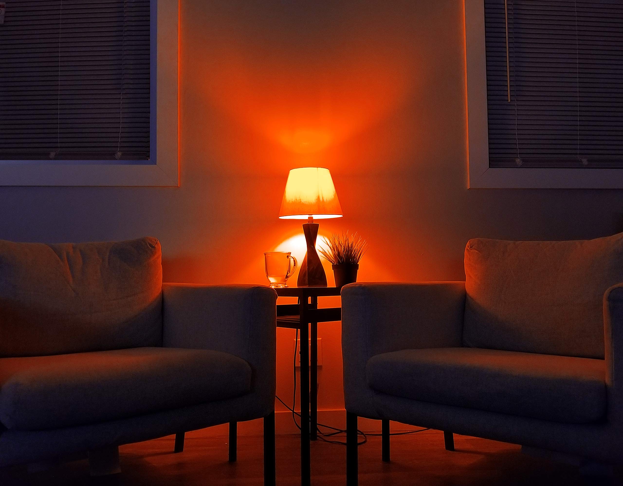 Snapklik.com : LED Colored Filament A19 Light Bulb, 4.5 Watts, Medium ...