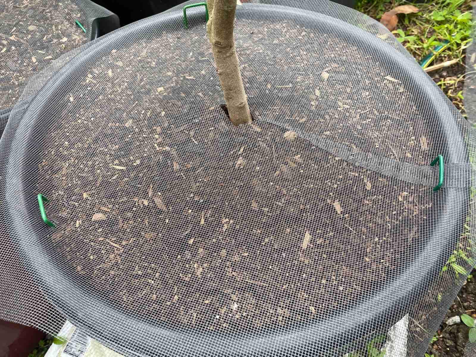 OZSTOCK® 100FT / 30M Roll Insect Flywire Window Fly Screen Net Mesh ...