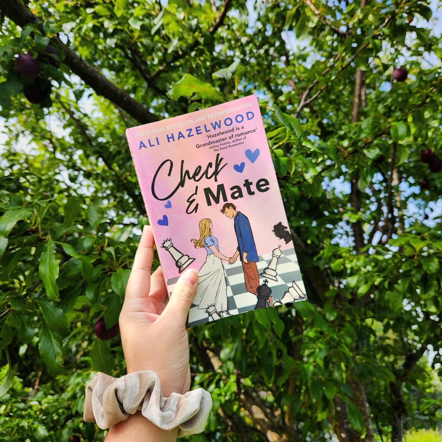 Check & Mate: the instant Sunday Times bestseller and Goodreads Choice ...