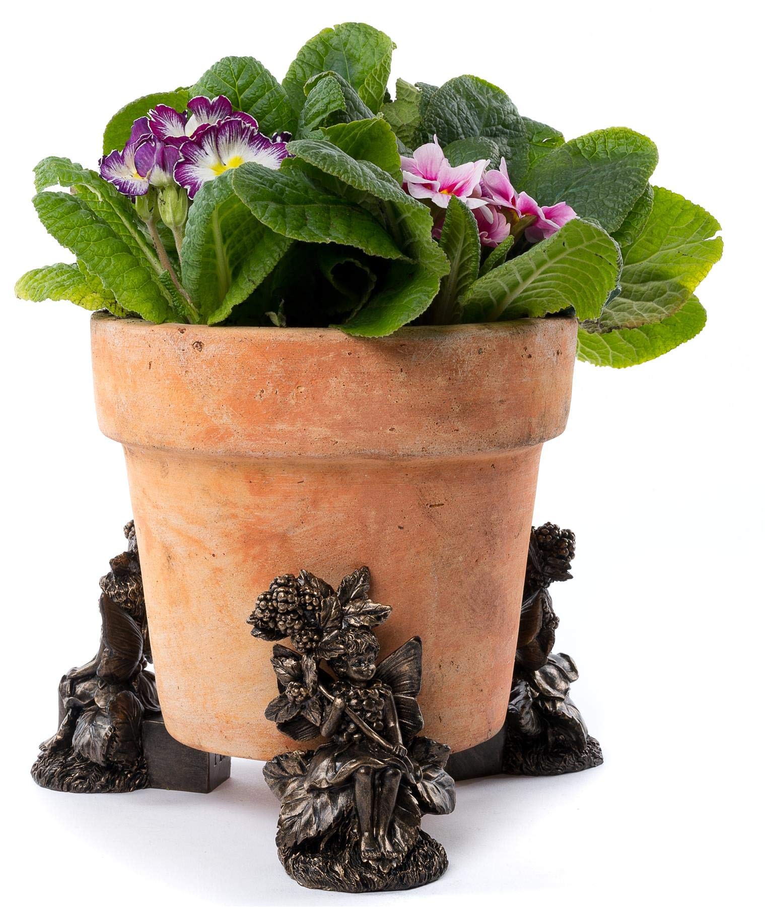 Potty Feet Flower Fairies Brombeer-Feen-Figuren Pflanztopffüße ...
