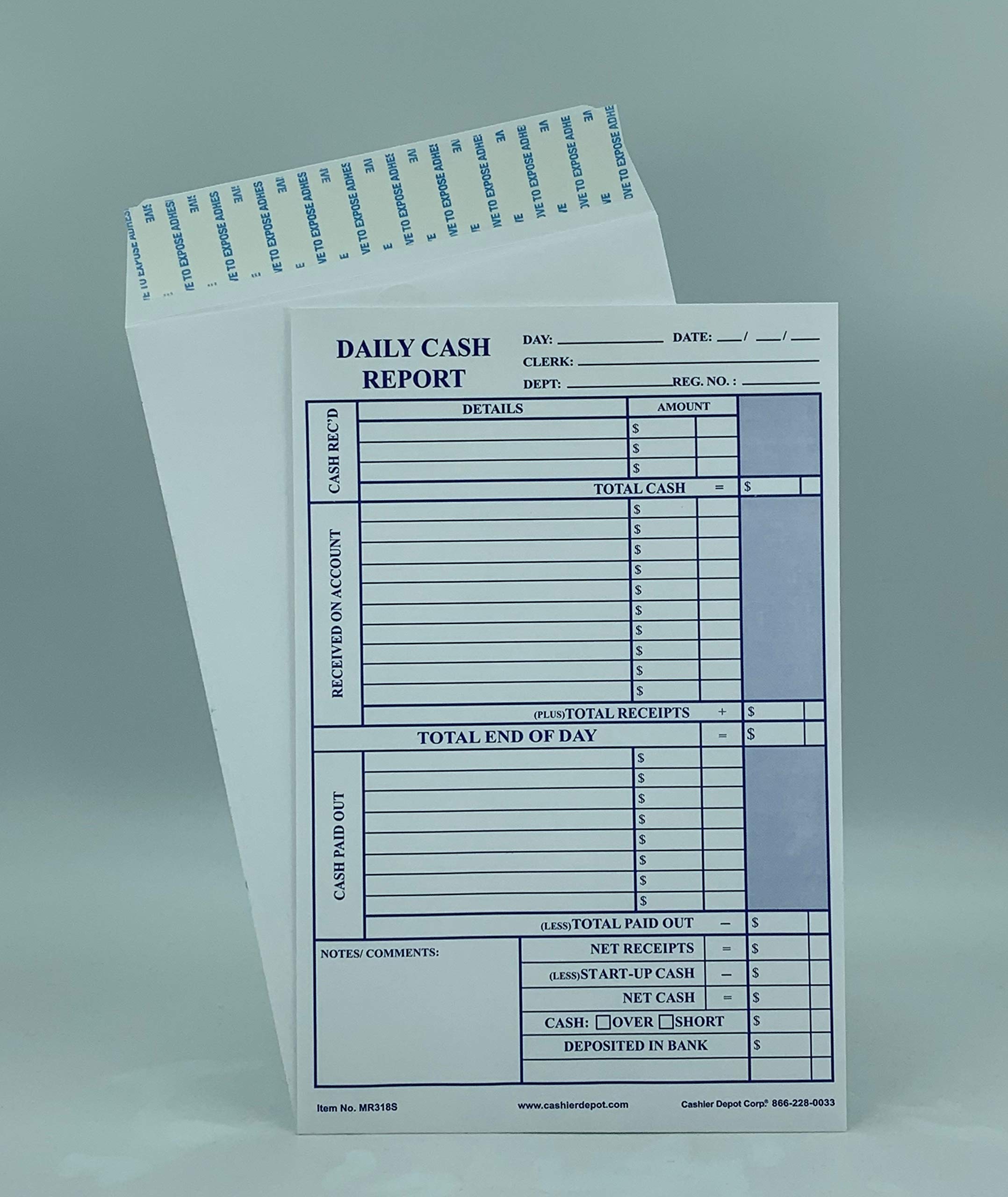 Buy Cashier Depot MR318S Daily Cash Report Envelopes, 6" x 9",Open End ...