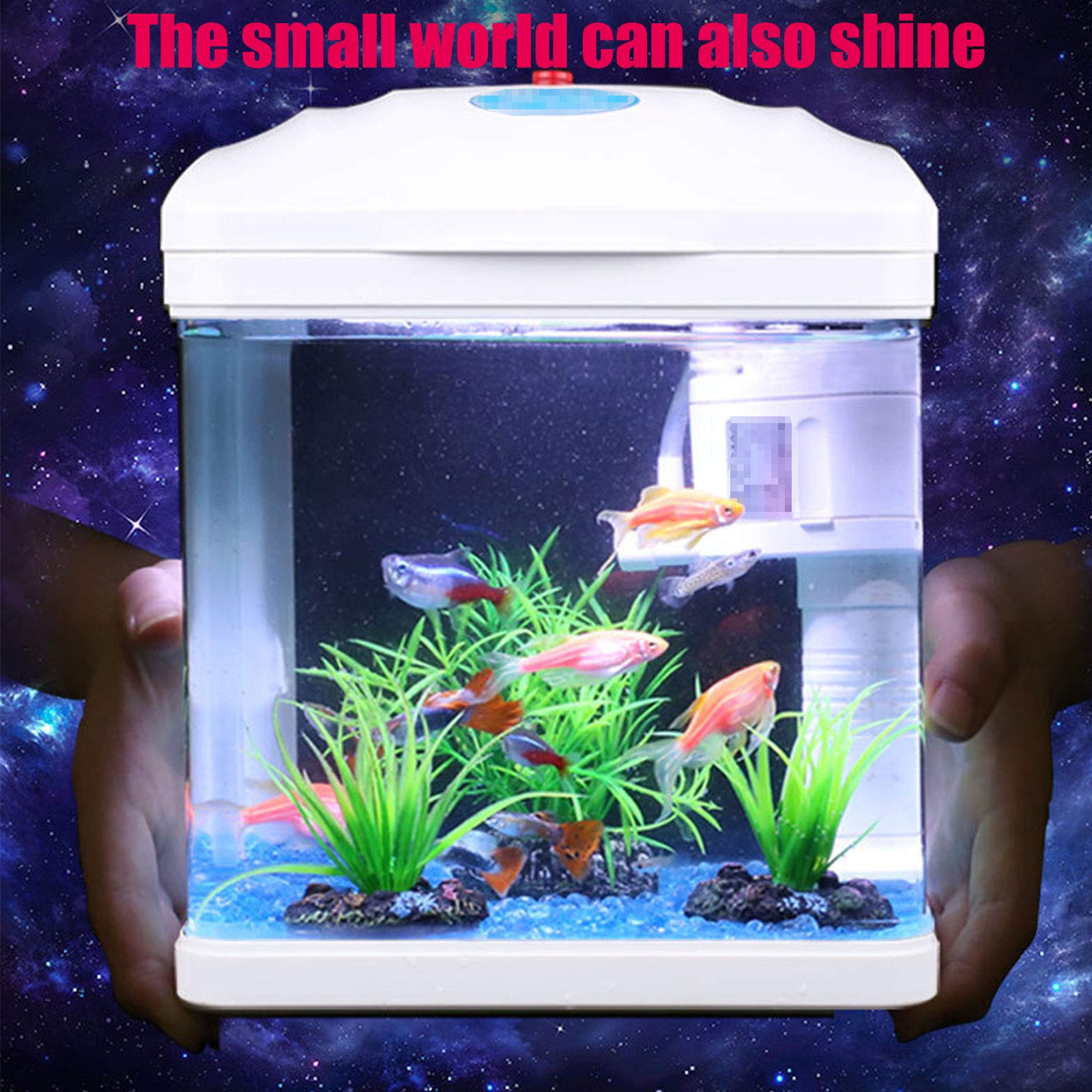 Smallest Fish Tank In The World