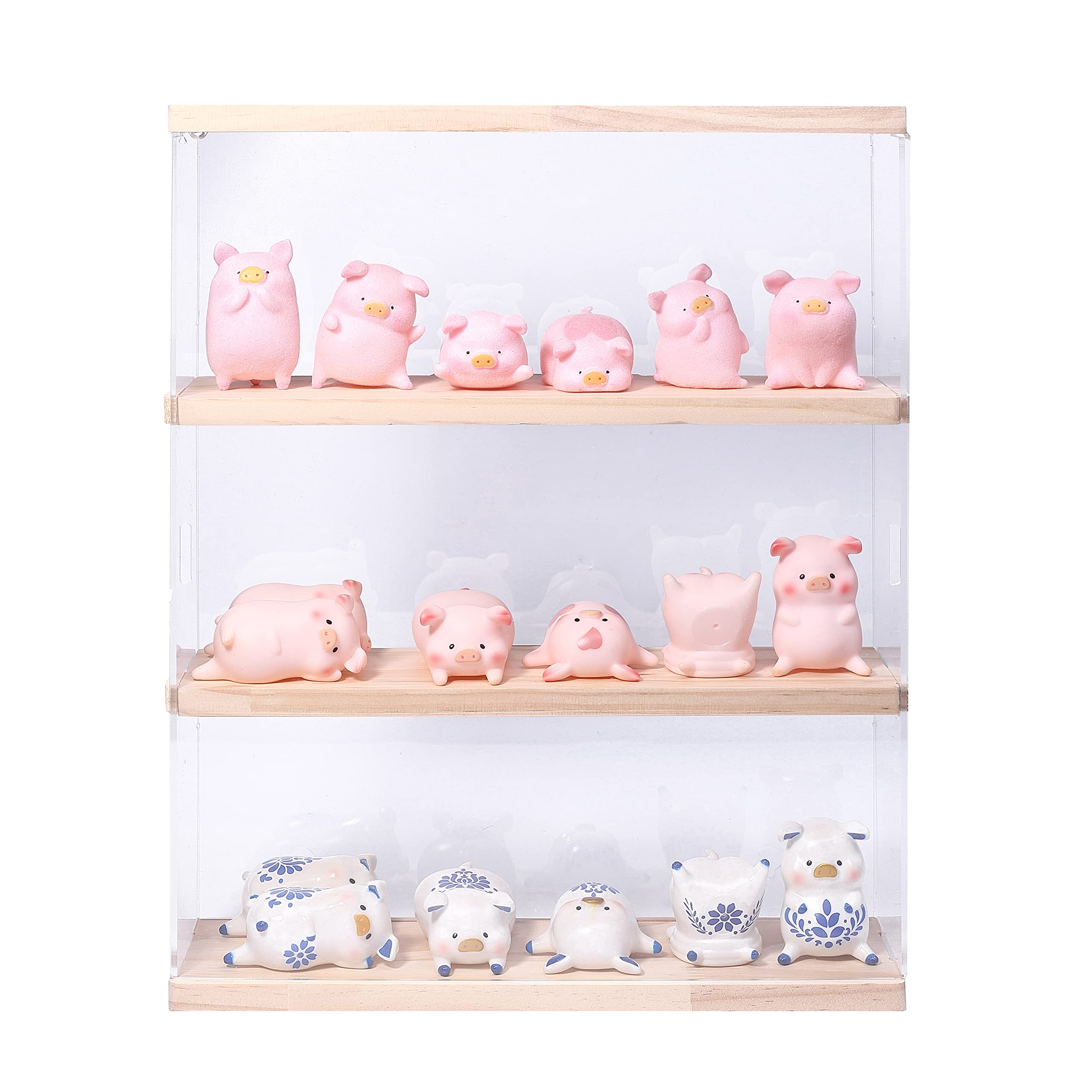 Buy Nynelly 3 Level Acrylic Display Case, Wall ed Display Box ...