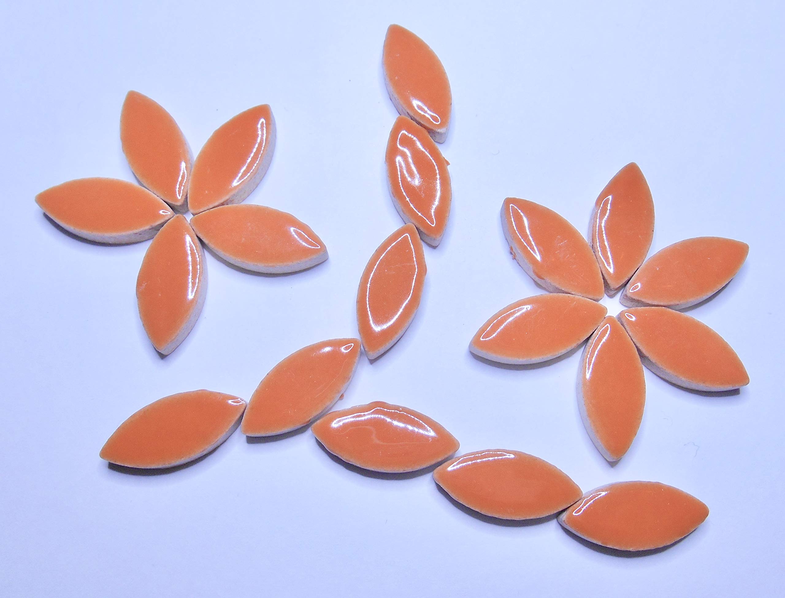 Flower Petal Shape