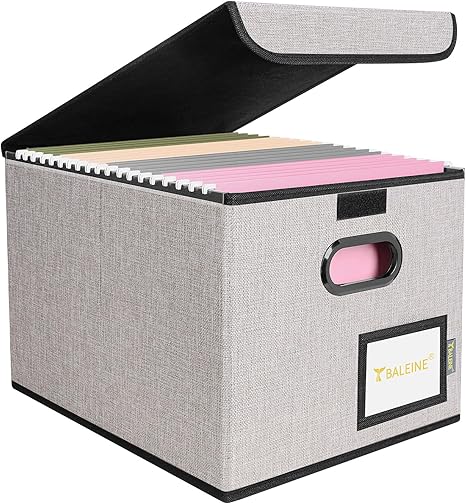 Amazon.com: BALEINE File Organizer Box with Lid, Collapsible File ...