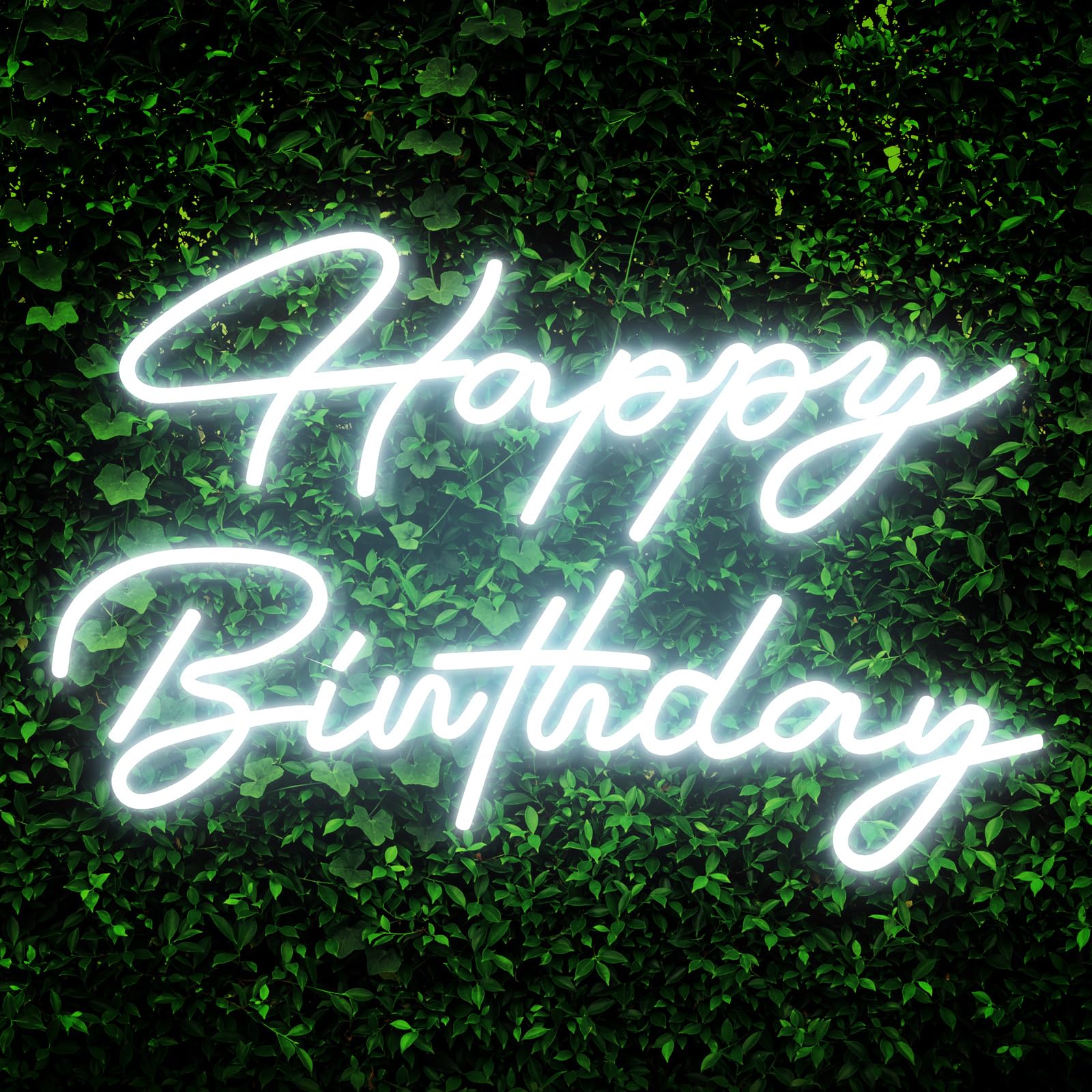 Snapklik.com : Tujoe 23 X 15 Happy Birthday LED Neon Sign Neon Light Signs