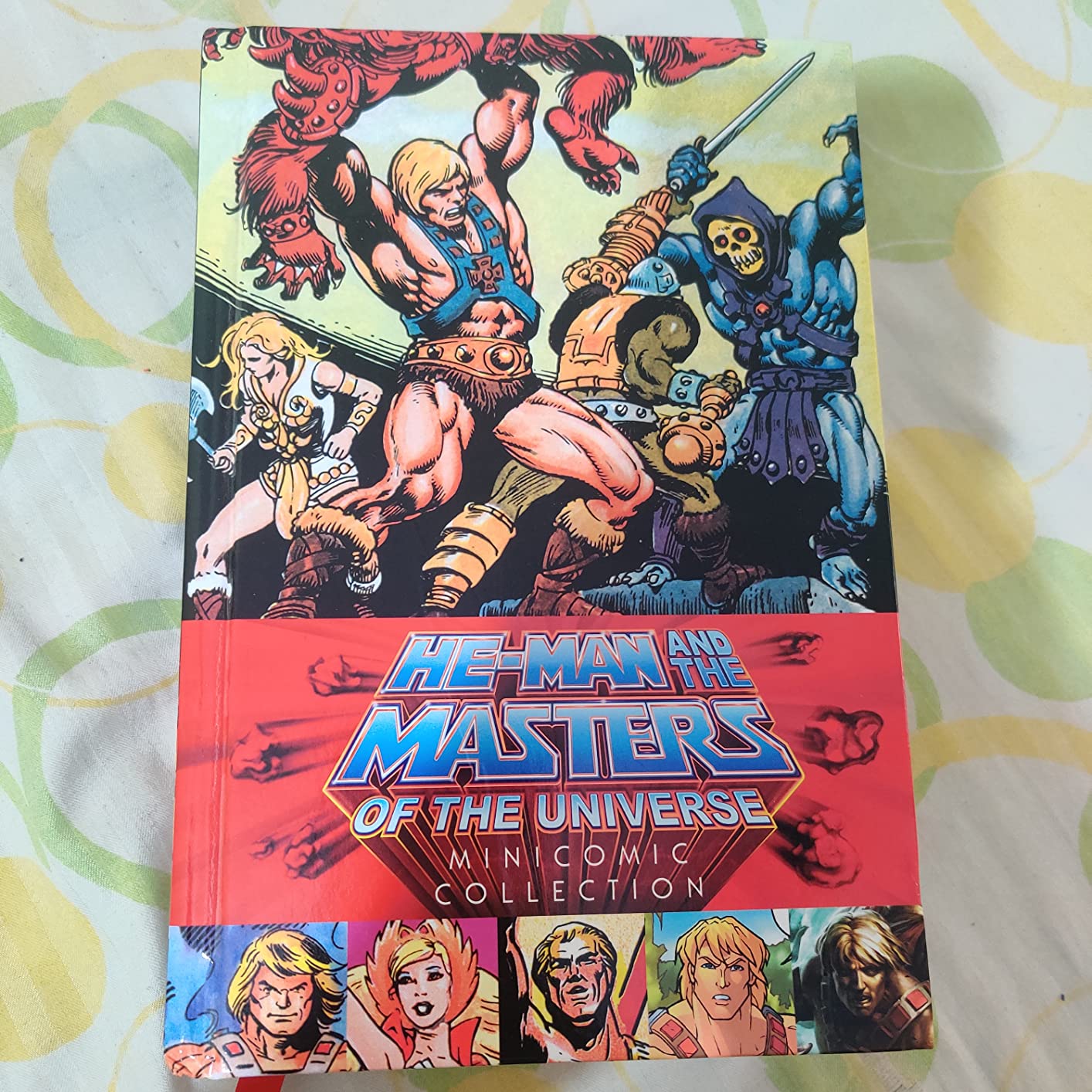 He-Man and the Masters of the Universe Minicomic Collection : Various ...