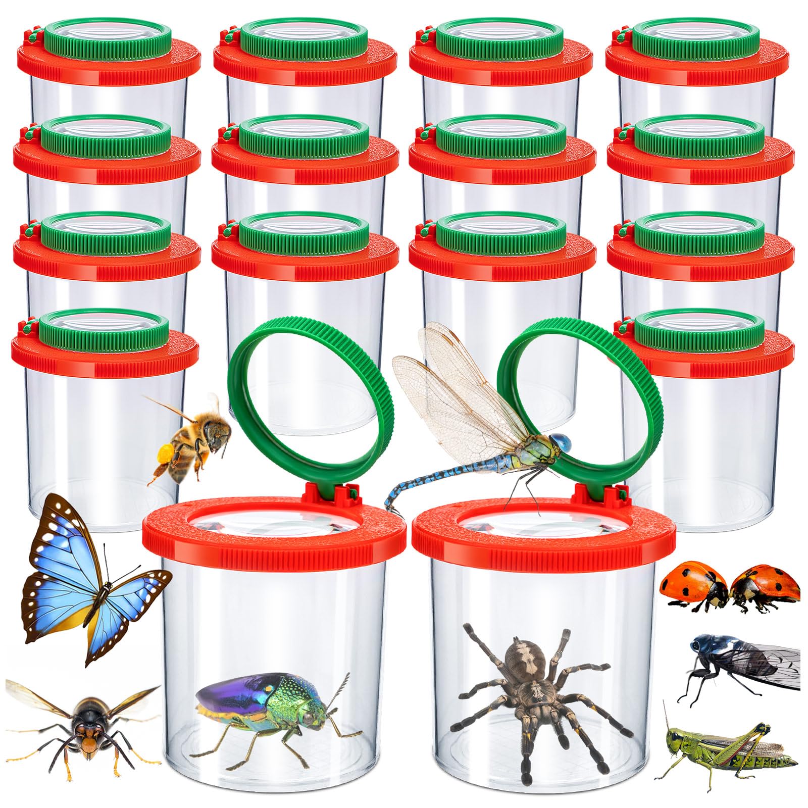 Amazon.com: Insert Bug Viewer for Kids, 16PCS Magnifying Insect Box Bug ...