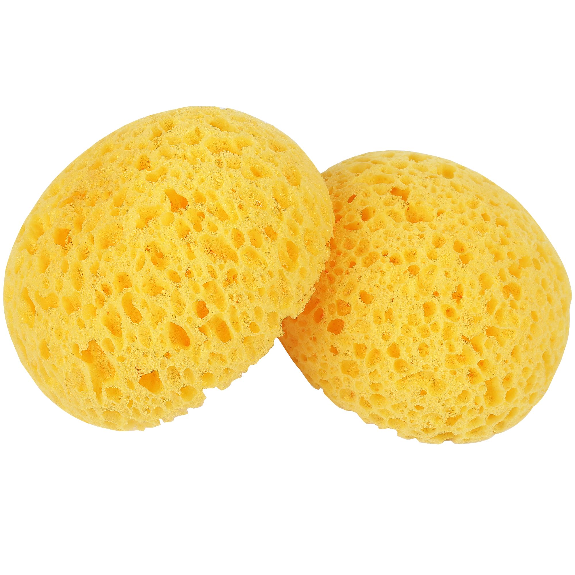 Amazon.com: Knockdown Texture Sponge Drywall for Painting Ceiling, 2 ...