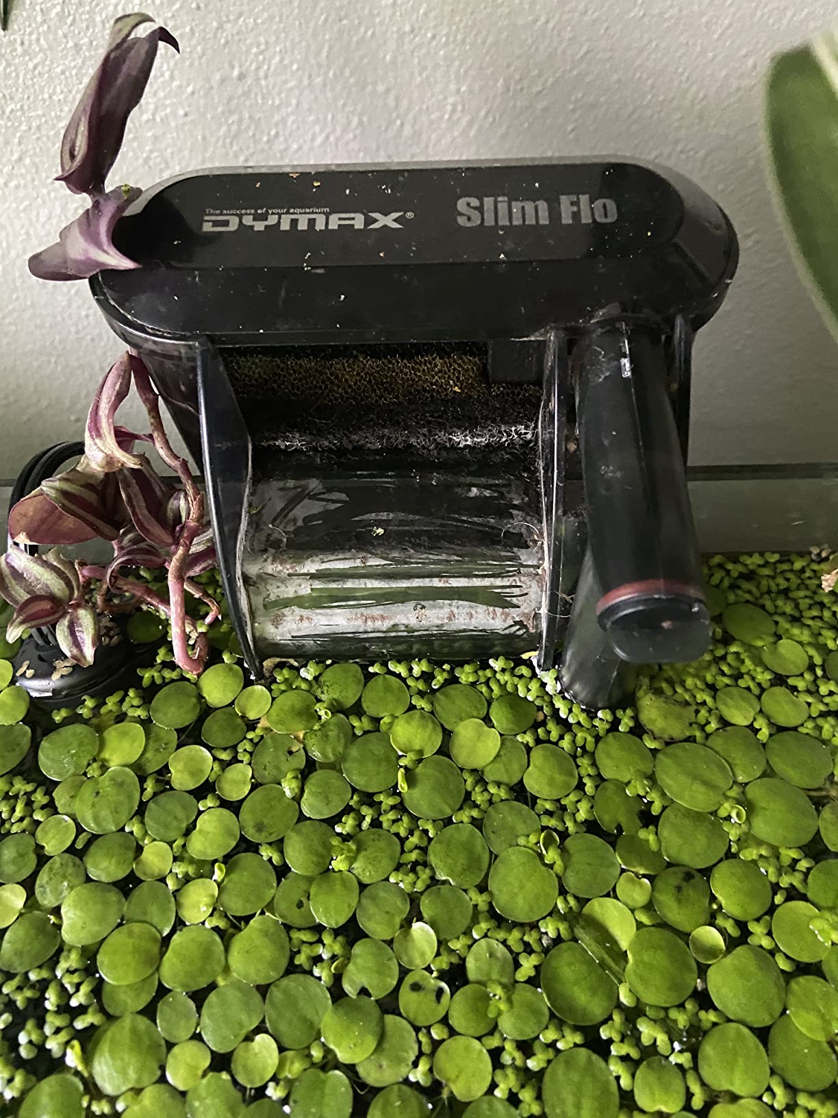 Amazon.com : Dymax Slim Flo Hang On Tank Aquarium Filter (SF-240 240 ...
