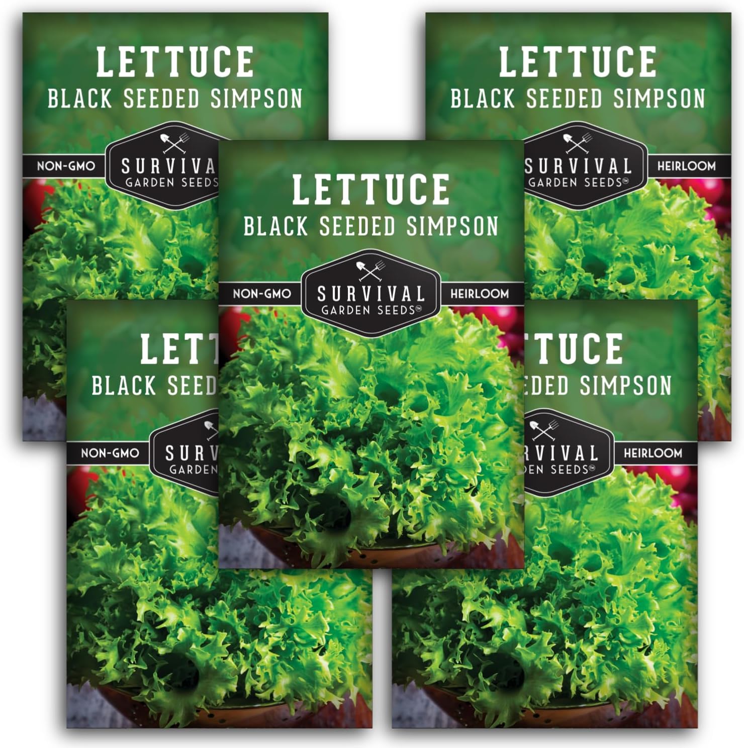 Semilla de lechuga Simpson de semillas negras para plantar, 1 paquete ...