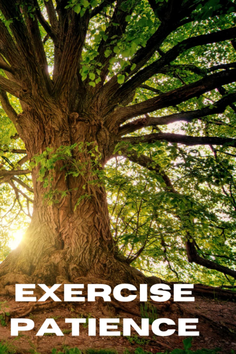 Exercise Patience: 2023 Regional Convention Notebook for Jehovah's Witnesses: Forrest Trees ...