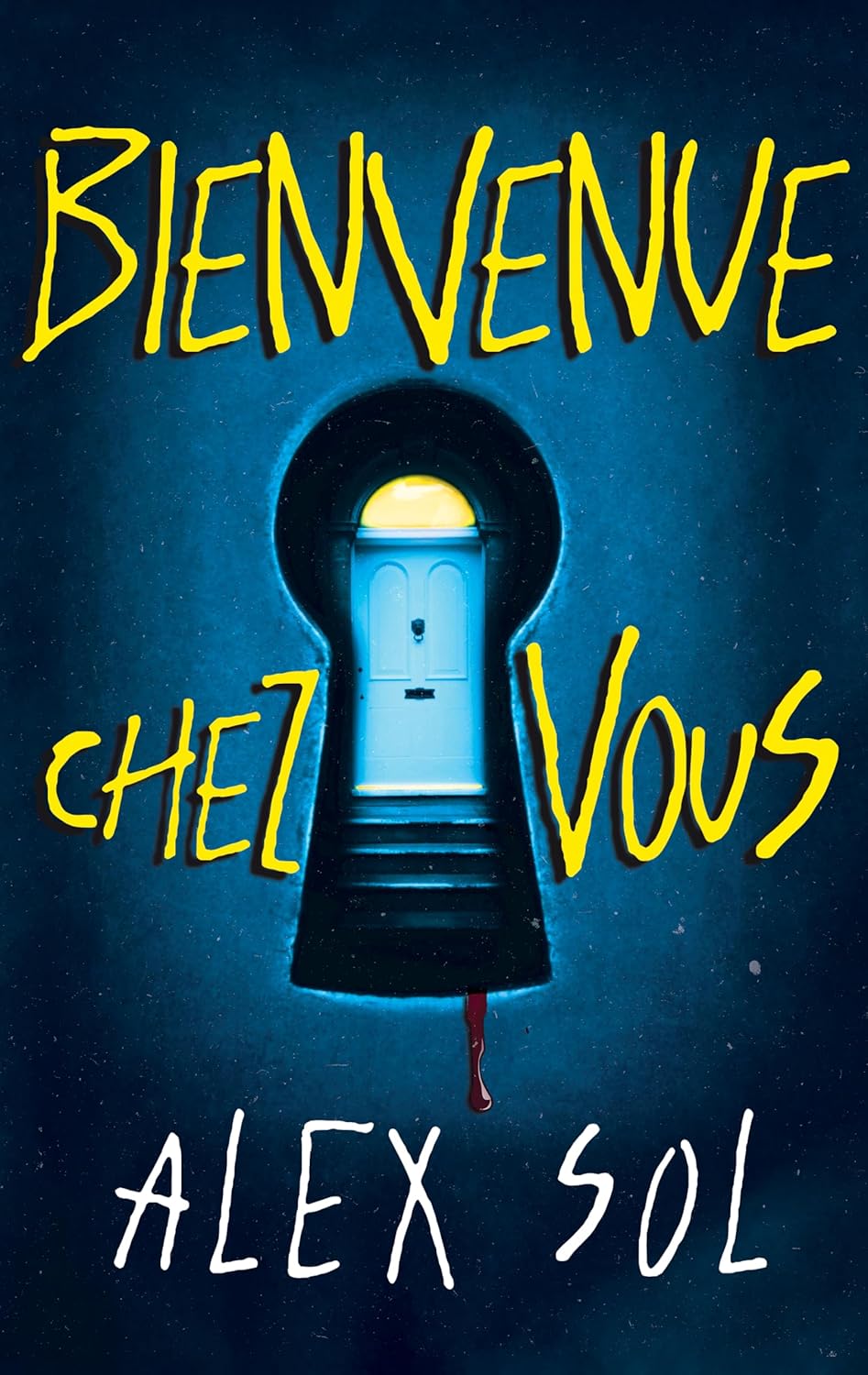 Bienvenue chez vous (French Edition) eBook : Sol, Alex: Amazon.ca ...