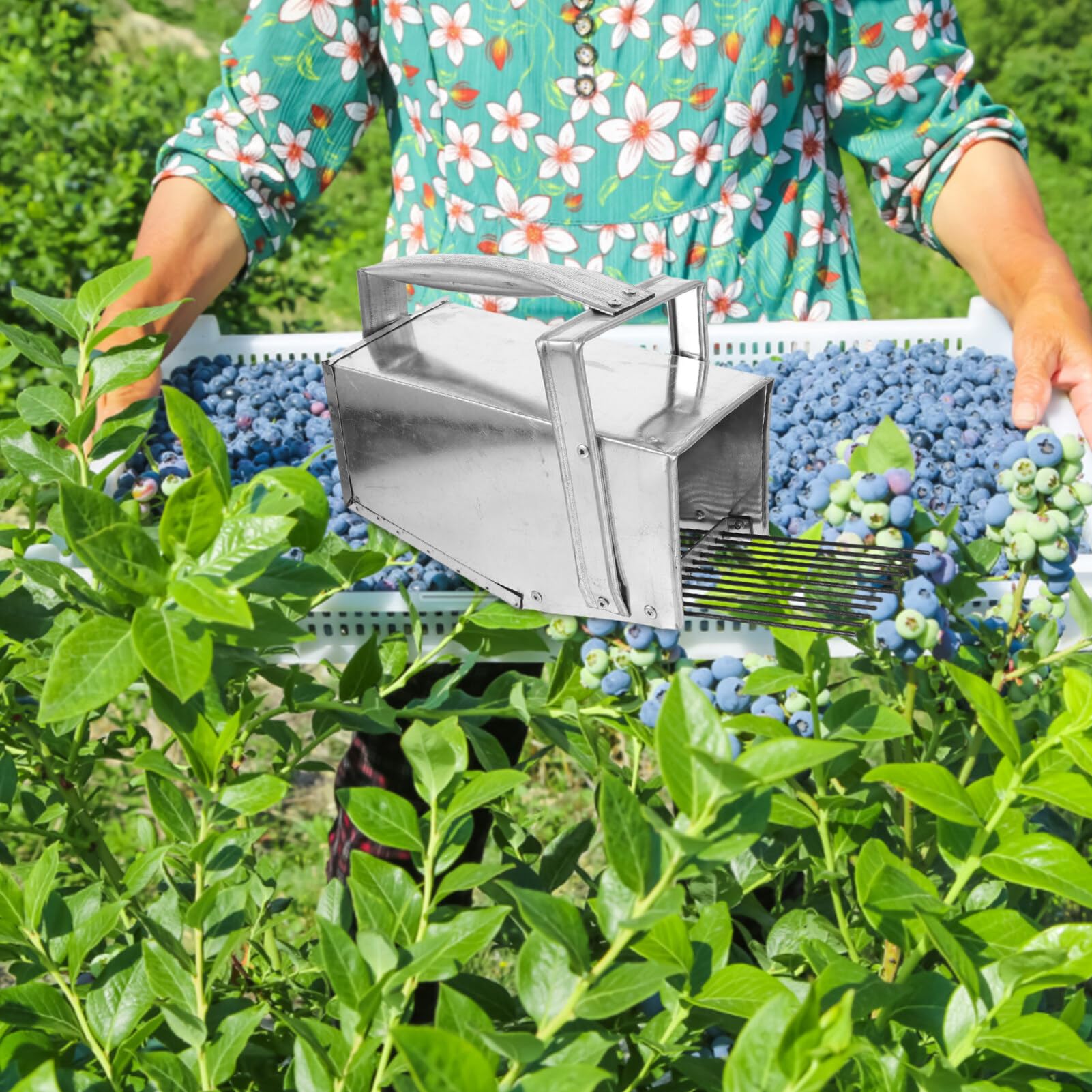 Swedish Berries Swedish Berry Picker With Metallic Comb - Ergonomic ...