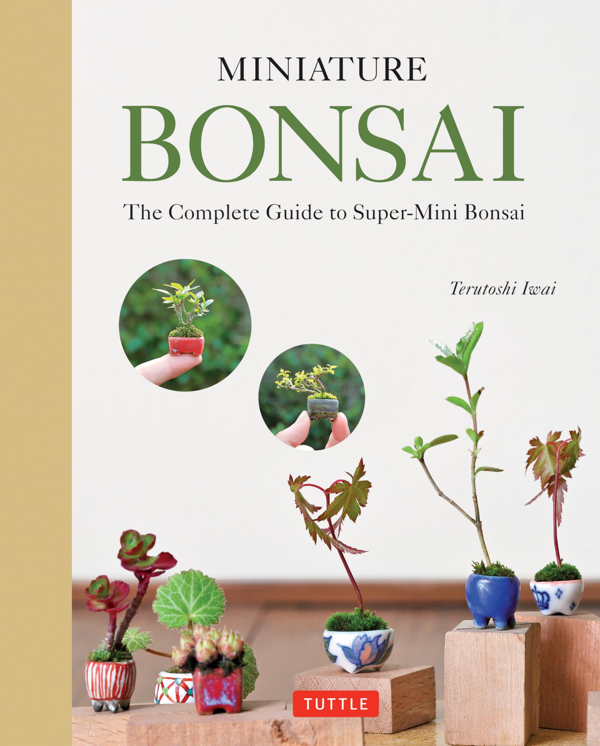 Snapklik.com : Miniature Bonsai: The Complete Guide To Super-Mini Bonsai