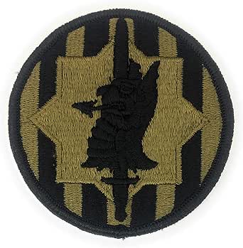 Amazon.com: Insignia Depot 89th Military Police BN OCP Patch w/Hook ...
