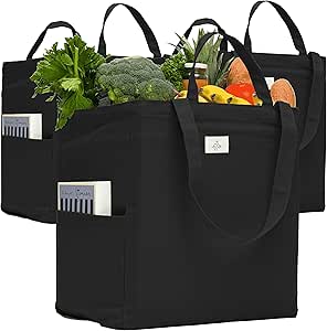 Amazon.com - Heavy Duty Reusable Grocery Bags - 100% Cotton 12Oz Canvas ...