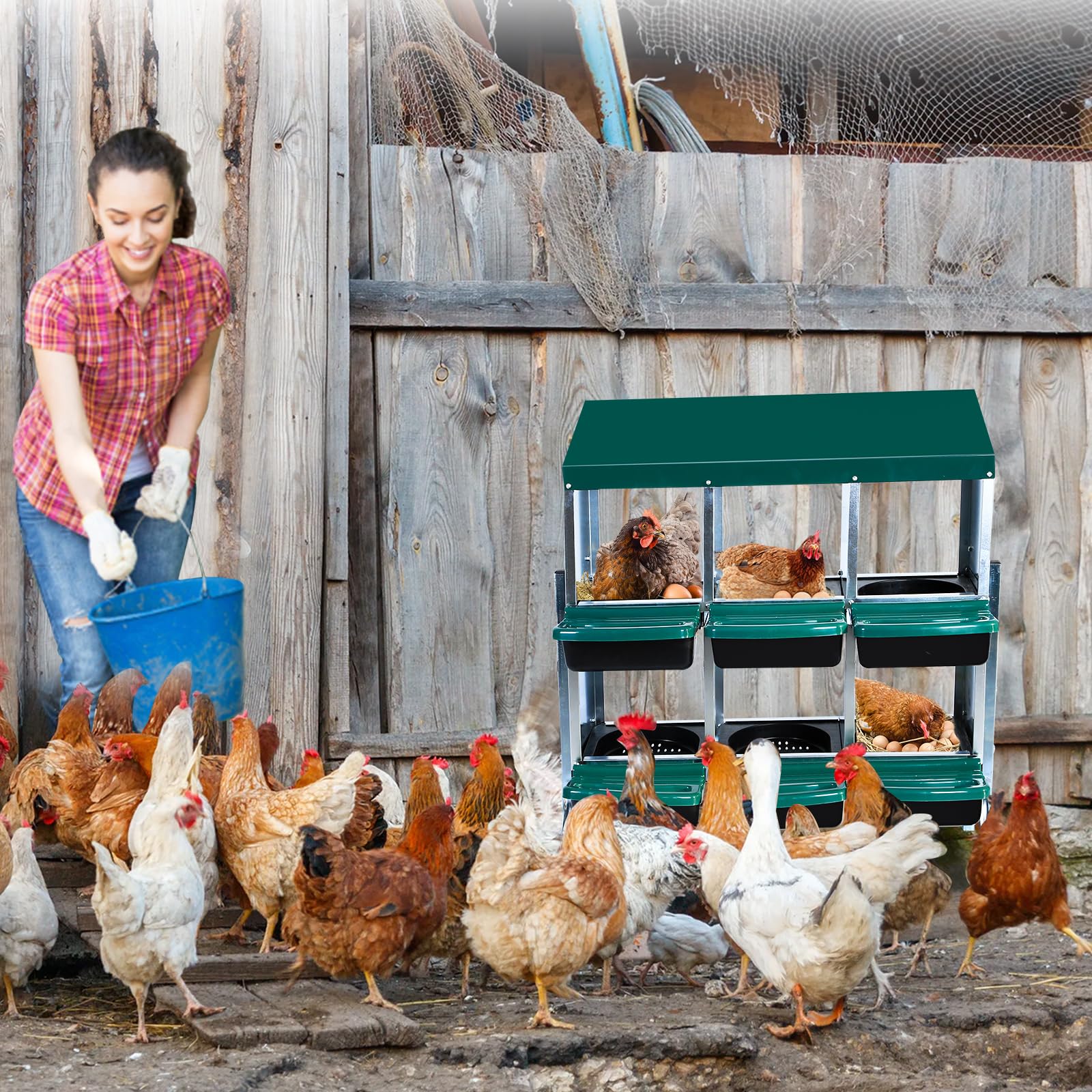 Snapklik.com : Chicken Nesting Boxes, 6 Compartments, Removable Tray ...