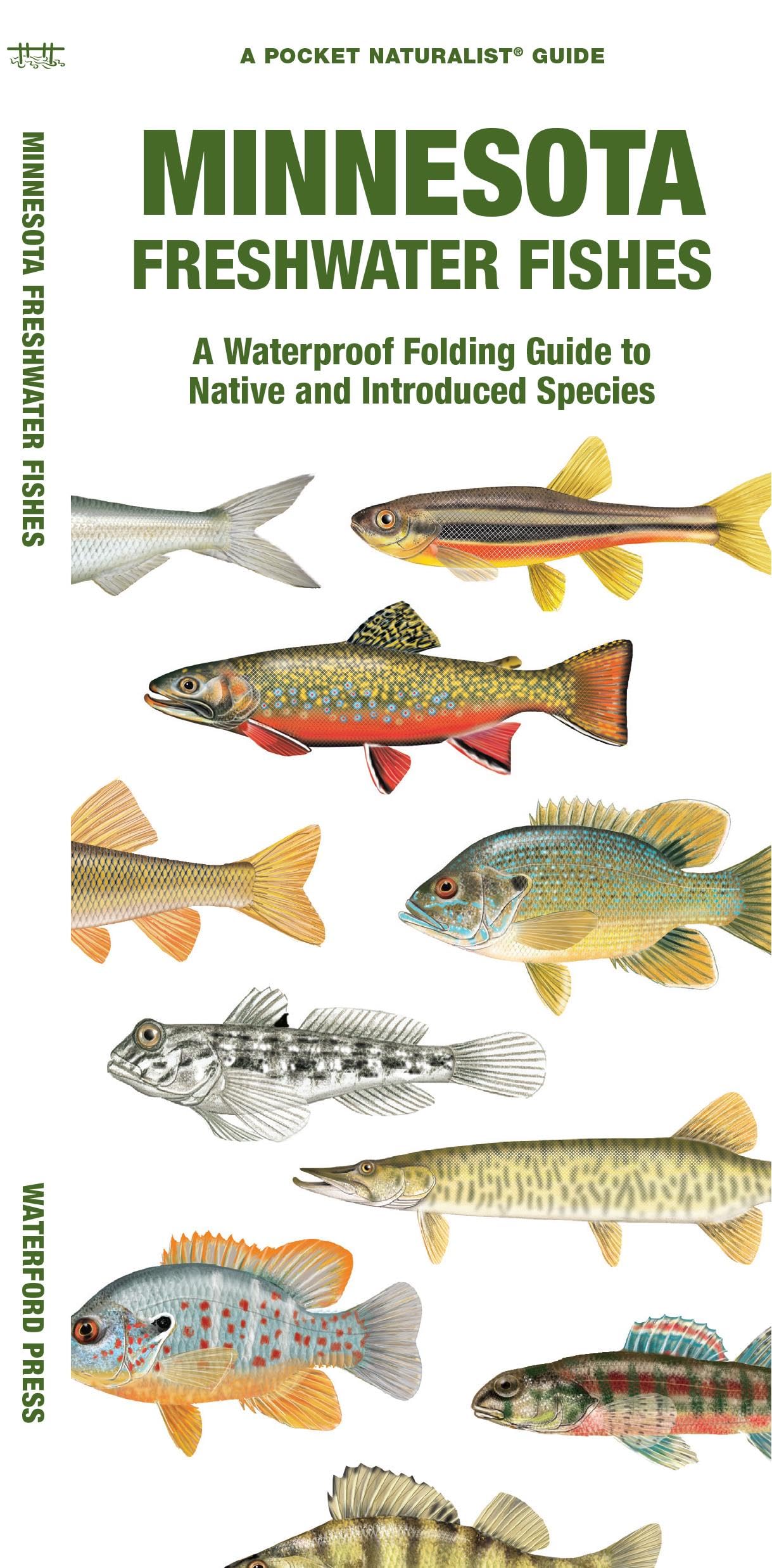Minnesota Freshwater Fishes: A Folding Guide to Native and Introduced ...